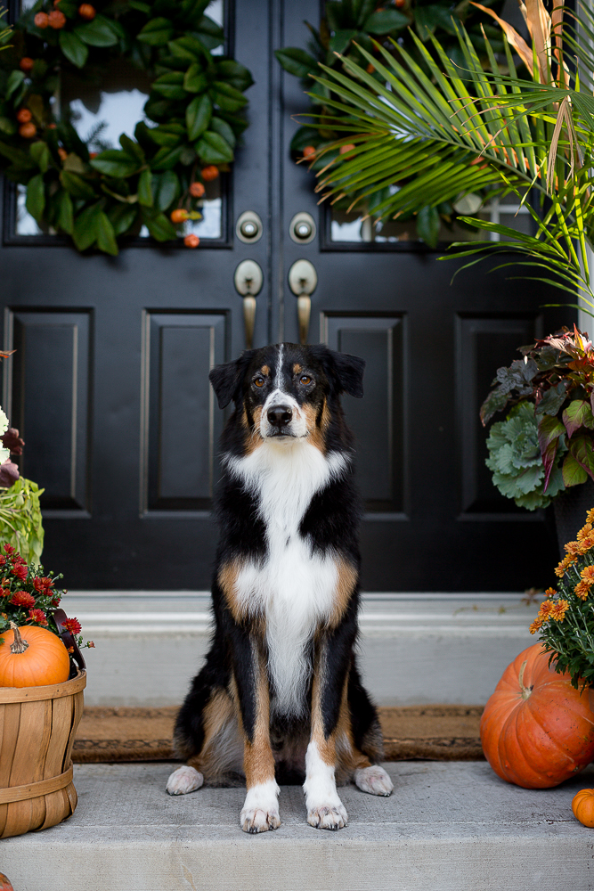 Front Porch Fall Decor Ideas