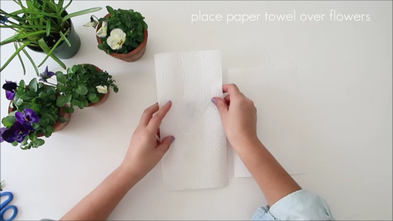 How to dry flowers in seconds