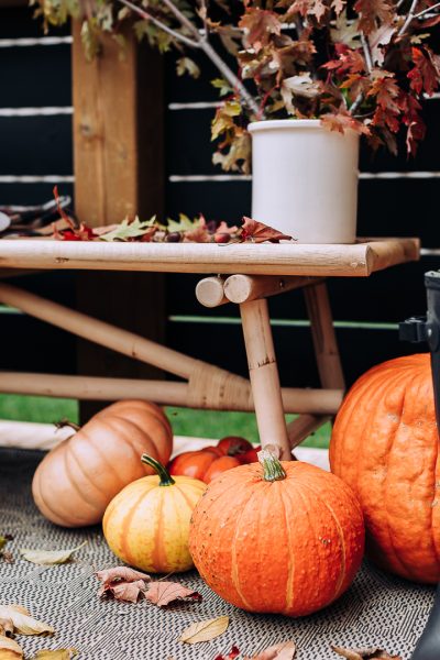Backyard Seating Area Decorated for Fall