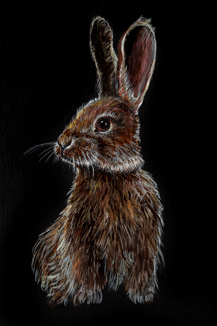 Acrylic Bunny Painting on Black Canvas
