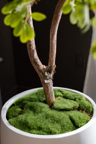 How to make artificial plants look more realistic