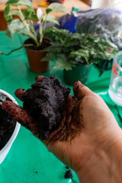 How to Make a Moss Ball Planter or Kokedama